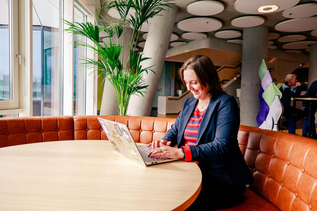 Game over IT bij het Rijk - Werken voor Nederland